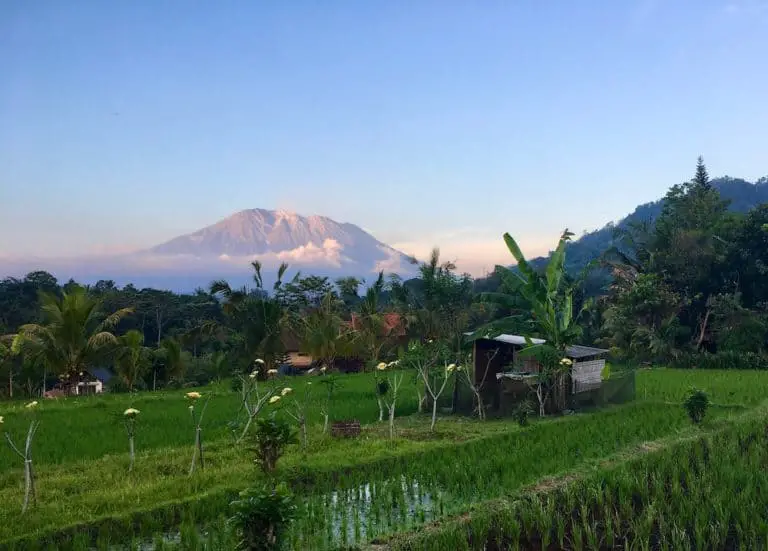 22 Eco Things to do in Bali -Enjoying The Green Side - GreenerBali