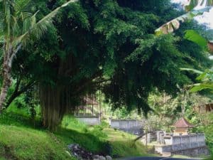 Guide To The Best Travel Routes Around Bali – GreenerBali