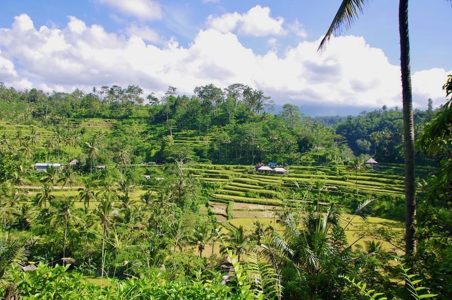 Guide To The Best Travel Routes Around Bali – GreenerBali